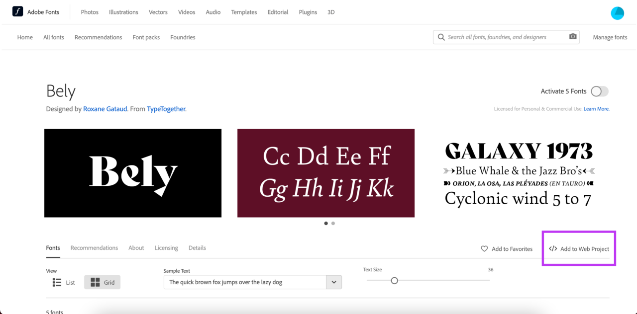 The Ultimate Guide to Web Safe Fonts: How to Use Them